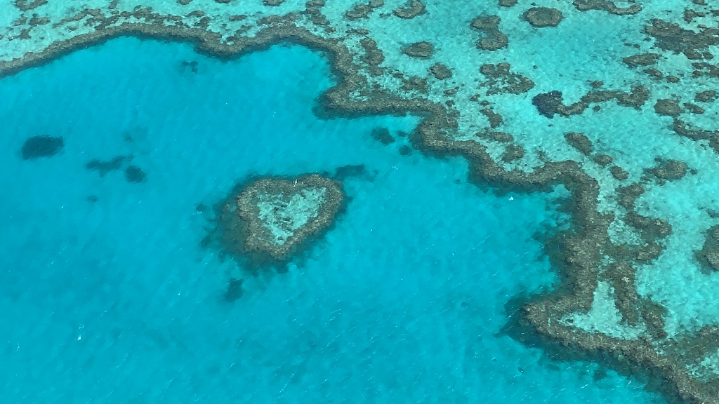 The Best of Brisbane & Gold Coast up to the Great Barrier Reef